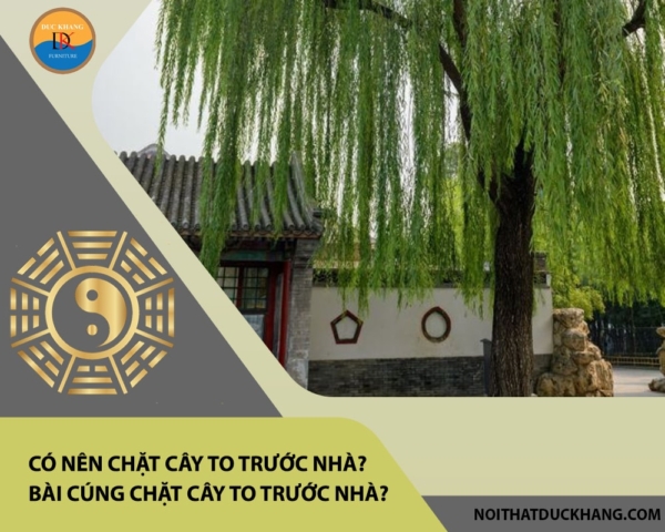 Có nên chặt cây to trước nhà? Bài cúng chặt cây to trước nhà?