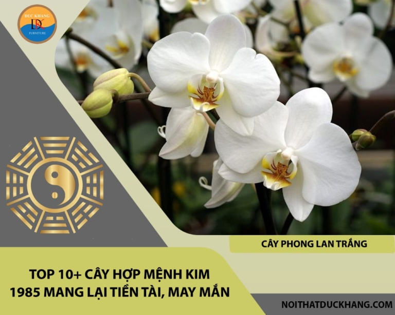 Top 10+ cây hợp mệnh Kim 1985 mang lại tiền tài, may mắn