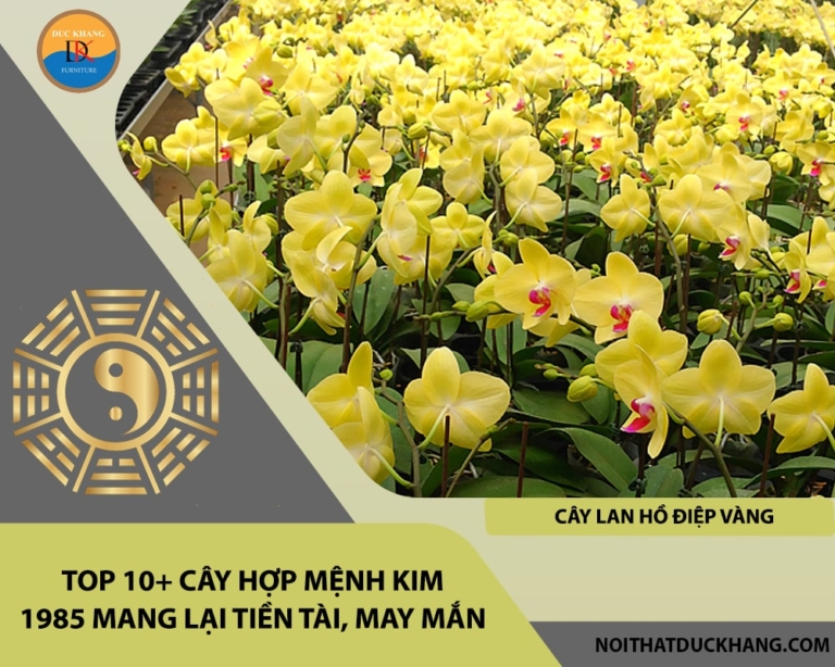 Top 10+ cây hợp mệnh Kim 1985 mang lại tiền tài, may mắn